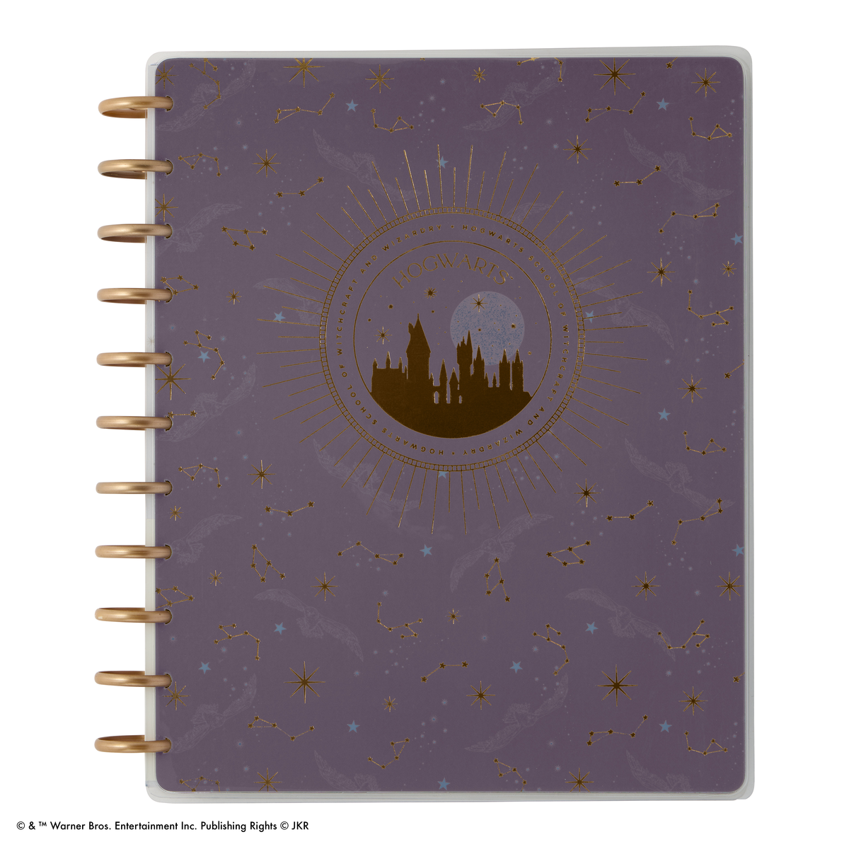 Undated Harry Potter Customizable Planner - Big Color Block Layout - 1 ...