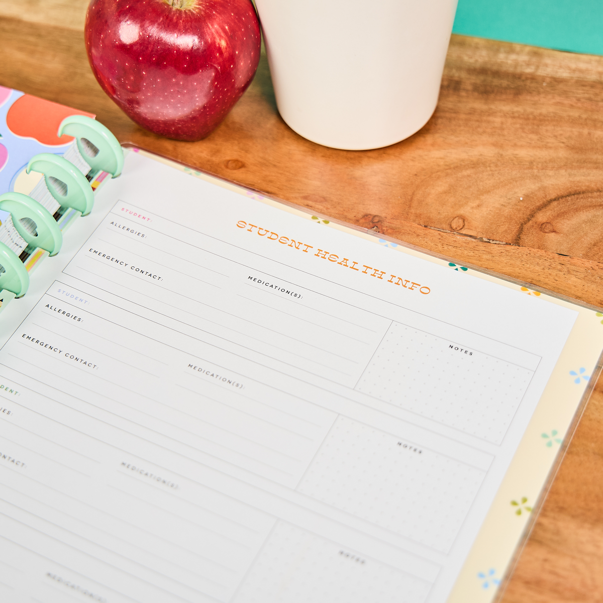 Mod Teacher - Parent & Student Info - Big Accessory Pack – Happy Planner