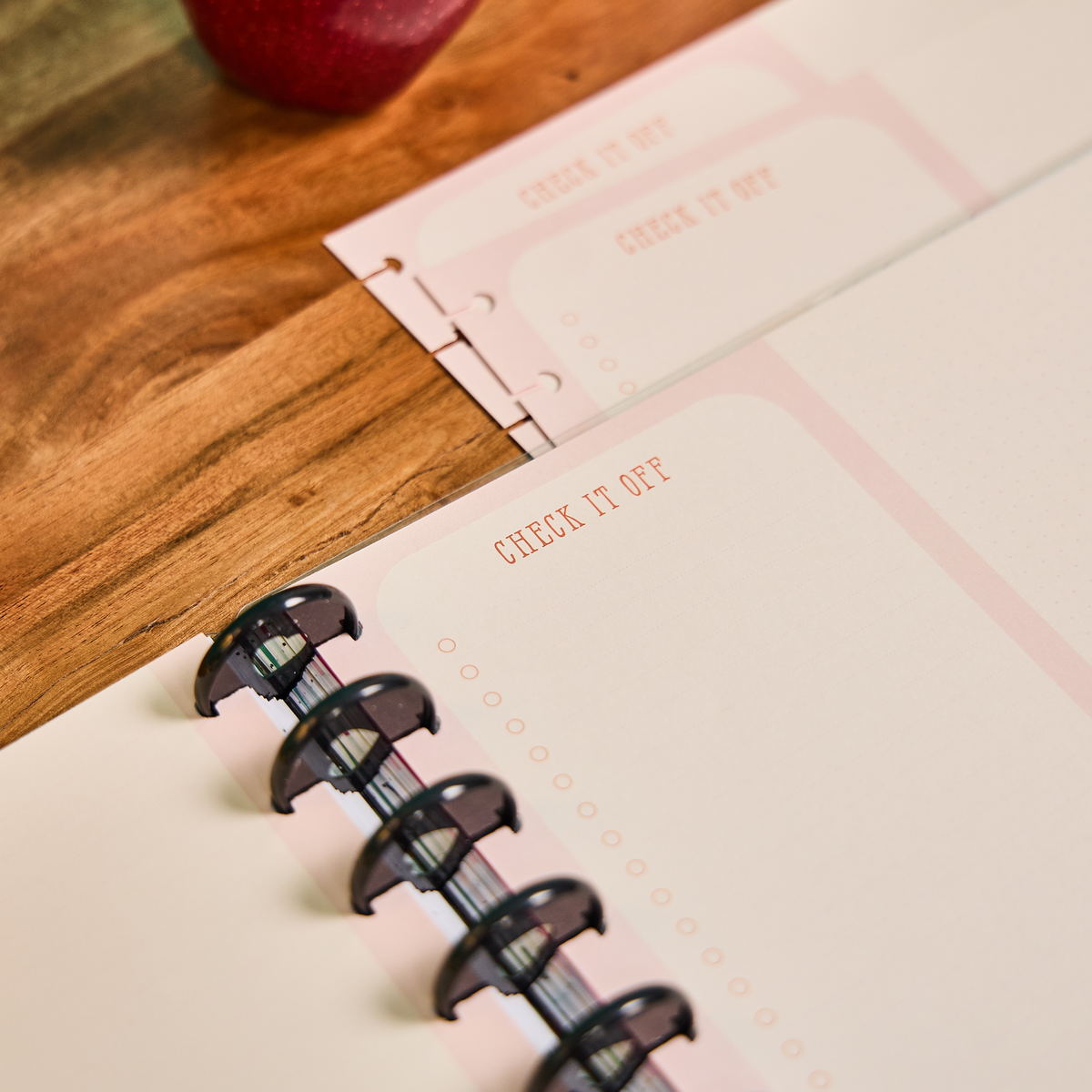 Teaching Seasons - Dashboard + Dotted Lined Big Filler Paper - 40 Shee ...