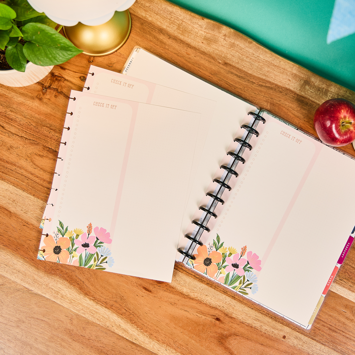 Teaching Seasons - Dashboard + Dotted Lined Big Filler Paper - 40 Shee ...