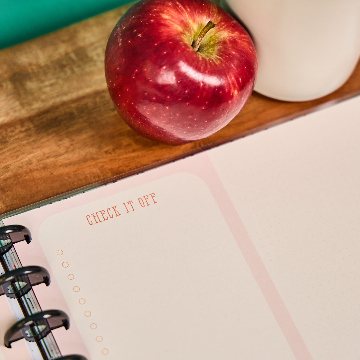 Teaching Seasons - Dashboard + Dotted Lined Big Filler Paper - 40 Shee ...