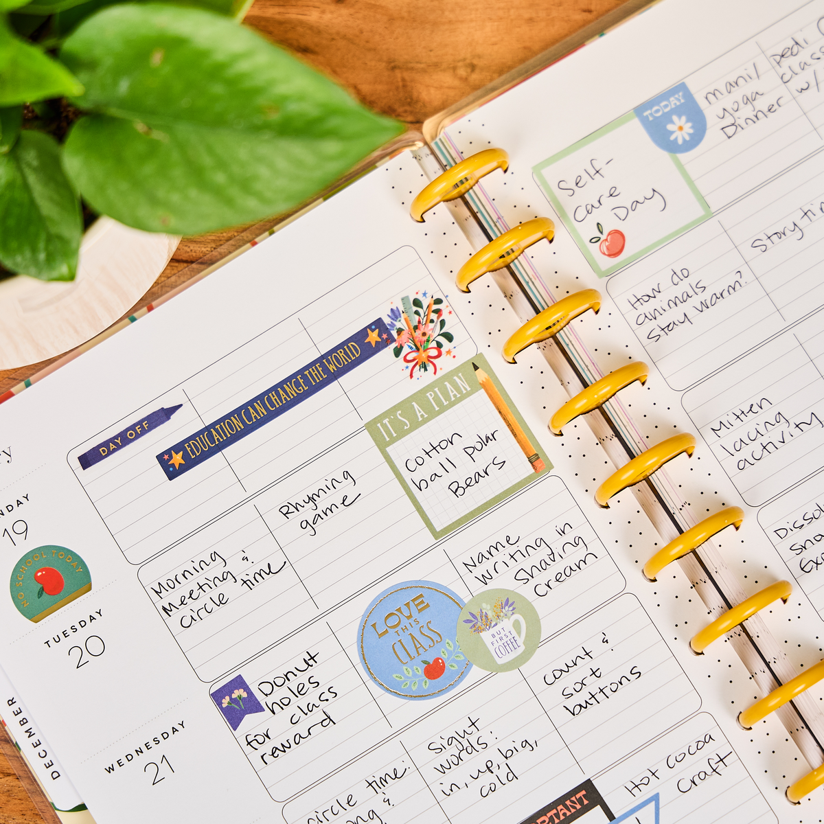 2025–2026 Mod Teacher Customizable Teacher Planner - Classic Teacher L ...