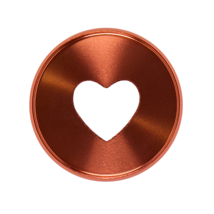 Coral - Expander Metal Disc Set – Happy Planner