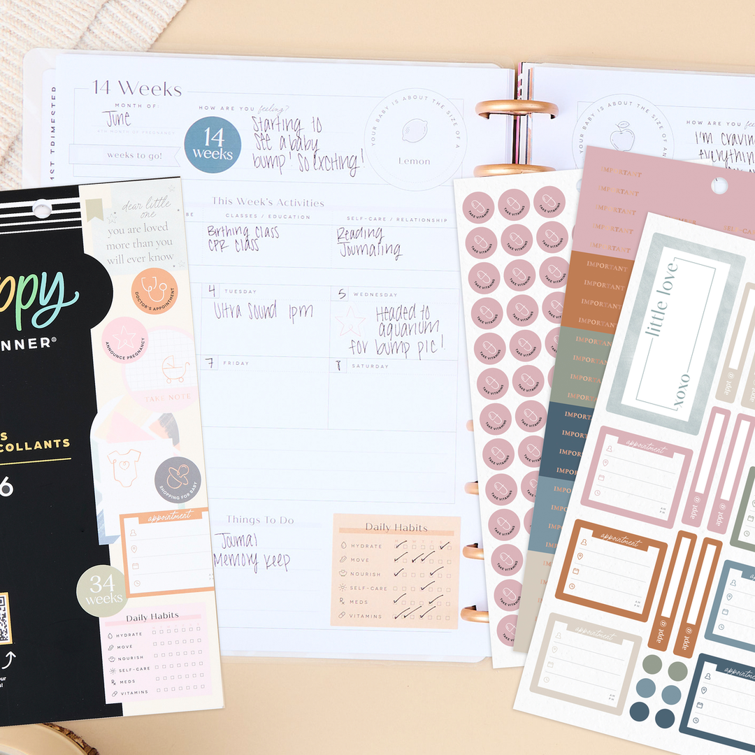 Maternity Planner Accessories Pregnancy & Baby's First Year Planner ...